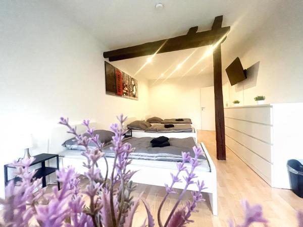 Work & Enjoy Apartments In Todendorf - Großensee