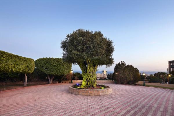 Olive Tree Apartments - Chypre