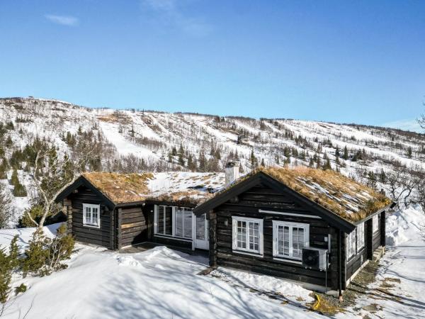 Holiday Home Fjälldrömmen By Interhome - Zweden