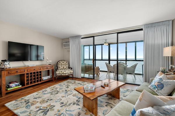 Hpn 11g - Salty Sandpiper - Fenwick Island, DE