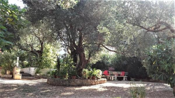 Apartment Dane - Brela