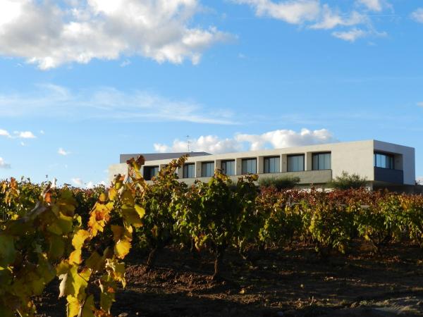 Hotel-bodega Finca De Los Arandinos - Logroño