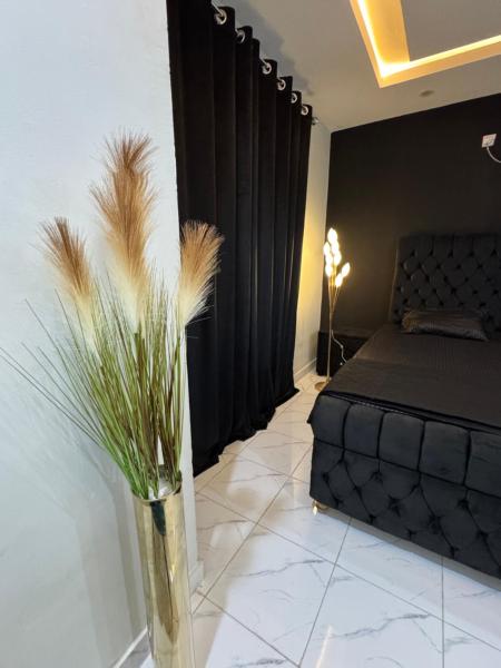 Furnished Apartment - Pakistan
