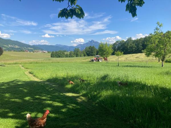 Ferienwohnung Mondsee-irrsee - Mondsee