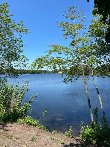 67 Lake House - State of New York