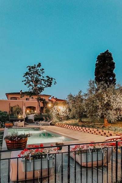 The Olive Grove In Tuscany - Pistoia