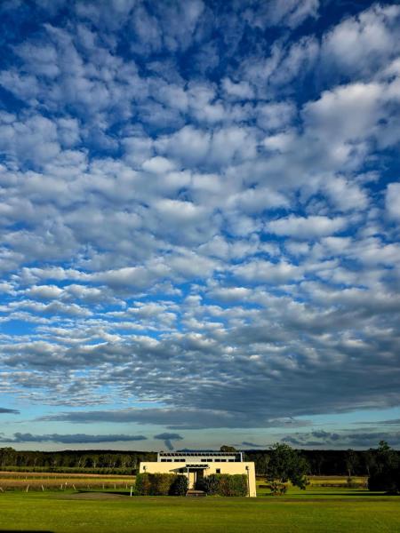 Adina Vineyard - Hunter Valley