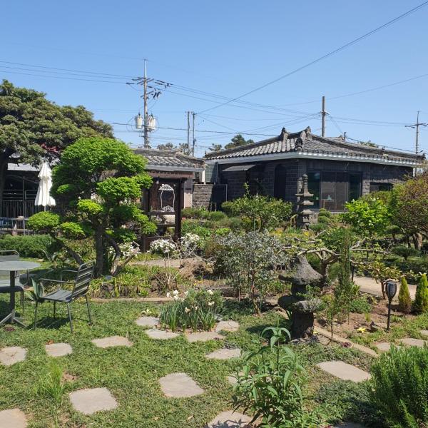 Samojeong, Jeju - Jeju-si