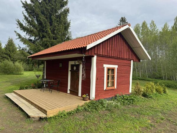 Salatse Metsa Mesionn - Estonia