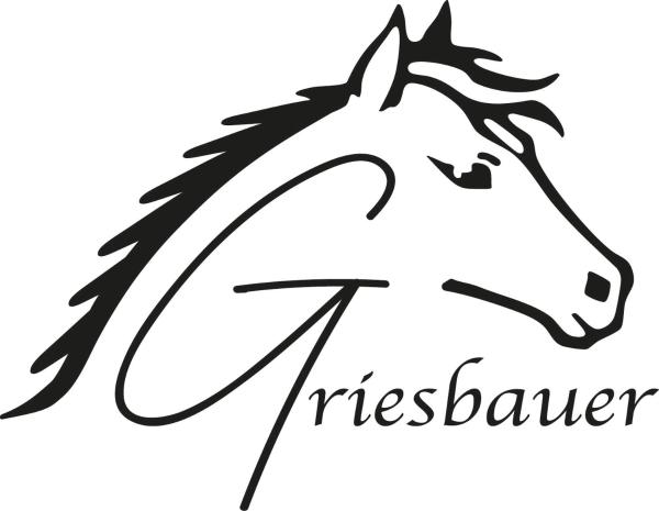 Griesbauer Familie Gehwolf - Wagrain