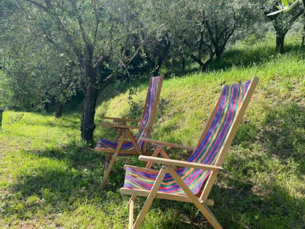 Sotto I Noccioli Di Gello - Camaiore