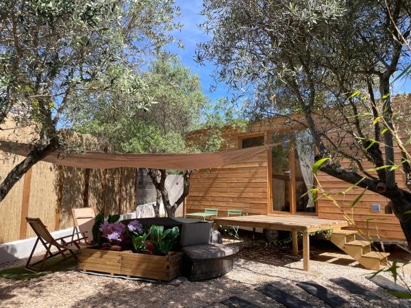 La Tiny Des Oliviers - Saint-Martin-de-Crau