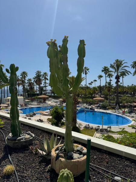 Classy Studio La Caleta - Adeje
