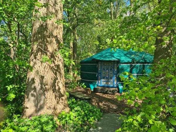 Yurt In Drenthe - Assen