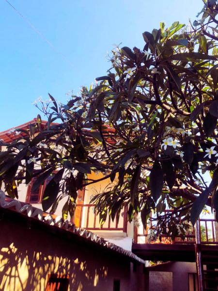 Espaço Conforto E Tranquilidade Casaveg - Brazil