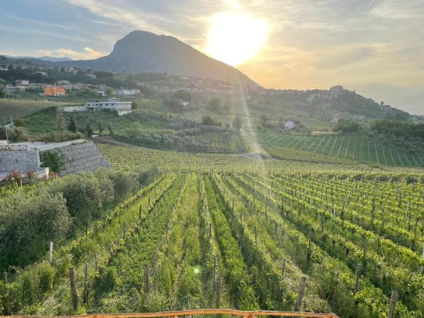 Terra Mea - Provincia di Benevento