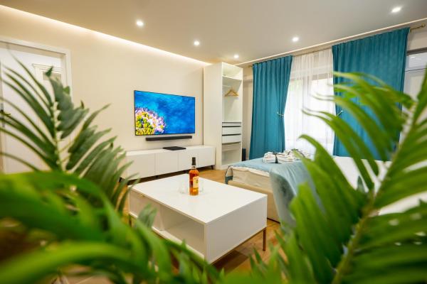 Apartament Central Lux 1 Cameră - Timișoara