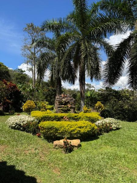 Finca Las Palmas San Gil - San Gil