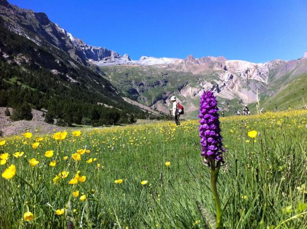 Hostel-albergue Monte Perdido - Pyrenees