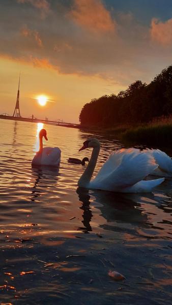 Квартира у реки - Riga