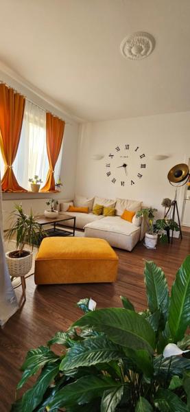 Altbauwohnung - Düsseldorf