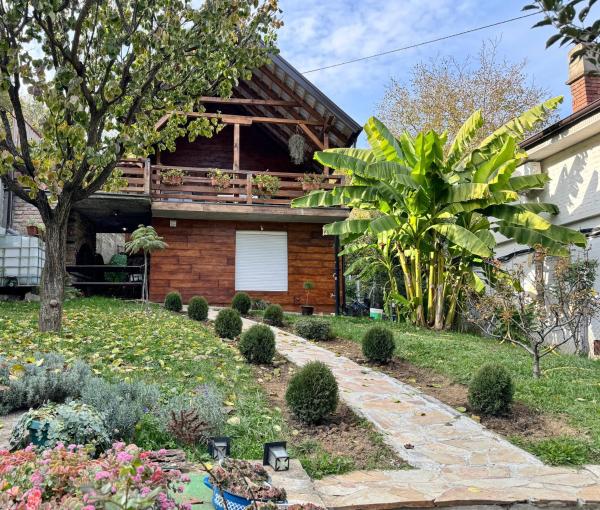 Buzzing Retreat - Ruma