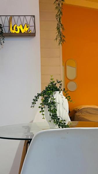 Cacao House - Guadeloupe