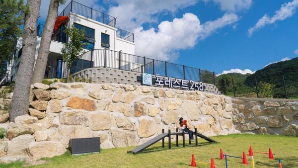 Geyongju Forest 258 Pet-friendly Pool Villa - Gyeongju-si