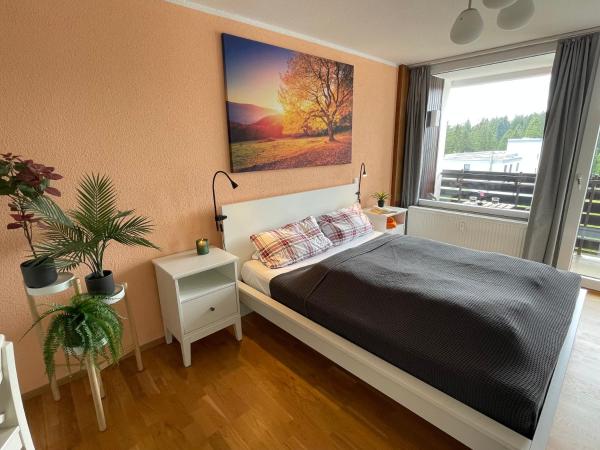 Ferienwohnung In Freudenstadt-kniebis Iii - Kniebis