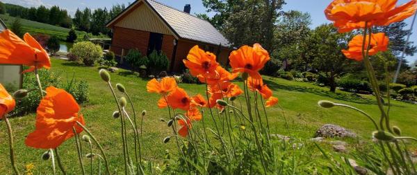 Tuka Talu ,Soomaa Piirkonnas, Pärnumaa - Estonia