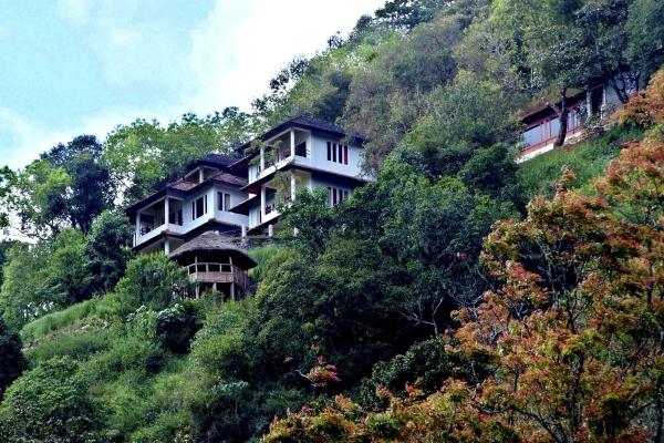 Blackberry Hills Munnar Nature Resort & Spa - Idukki