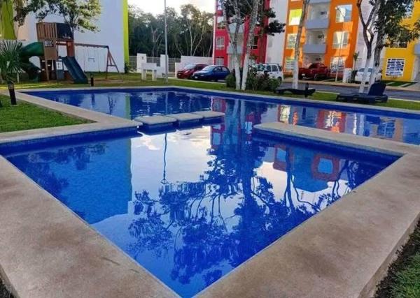 Dreams Of Arena In The Jungle Of Cancun - Cancún