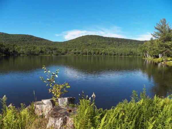 Serendipity Lake House - State of New York