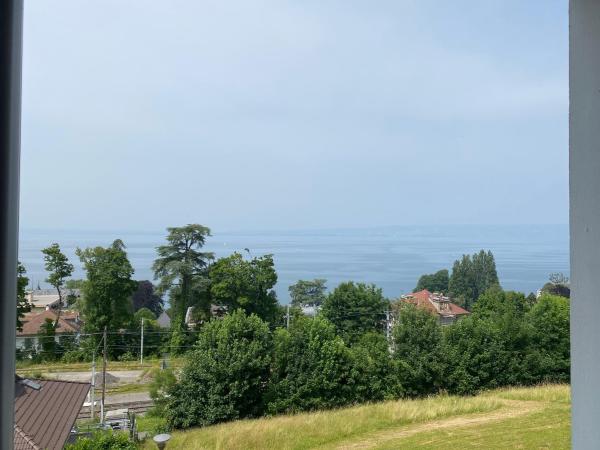 Appartement Au Bord Du Lac De Genève - Évian-les-Bains