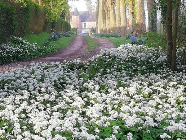 Chambre Fleur De Lys - Carly