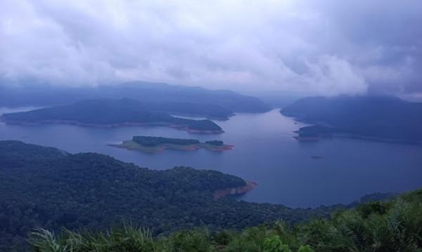 Ealakka Farm Stay - Kattappana