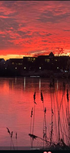 Ferienwohnung-claudia In Schwerin - Schwerin
