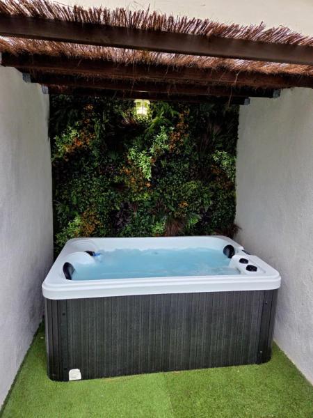 Jacuzzi & Jardin Privé - Suite Tropicale - Port-Saint-Louis-du-Rhône