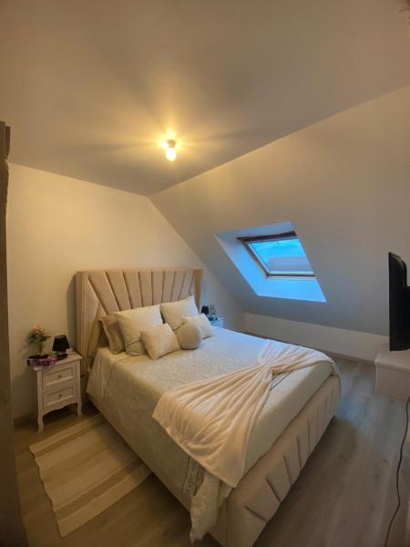 Appartement Proche De L'entrée Des 24h - Le Mans