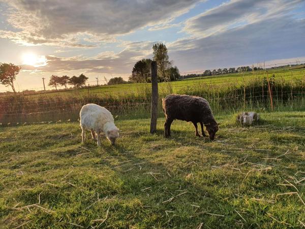 Villa Friesenkät - Deichblick - Wangerooge