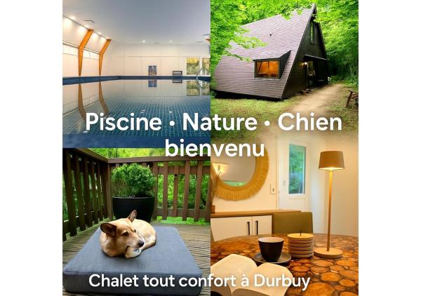 Chalet Séquoia 138 Nature, Piscine Et Chien Bienvenu à Durbuy - Durbuy