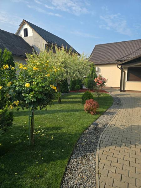 Salt Orchid Apartments - Turda