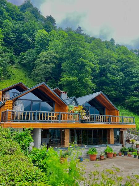 Masal Suit - Rize