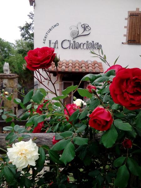 Agriturismo La Chiocciola - Toscana