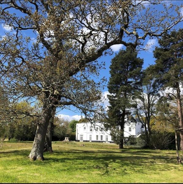 The Retreat New Forest, Hinton - Highcliffe