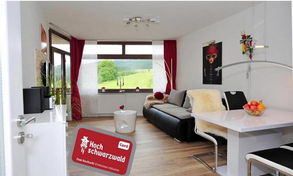 Ferienwohnung Für 4 Personen Ca 45 M In Gemeinde Schluchsee, Schwarzwald Naturpark Südschwarzwald - Breitnau