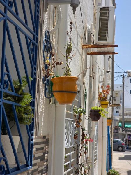 Cozy Antique Apartment - Mahdia