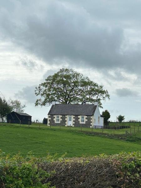 Williamsfield Cottage - Dumfries