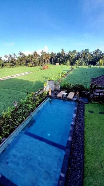 Beras Bali Suite - Ubud