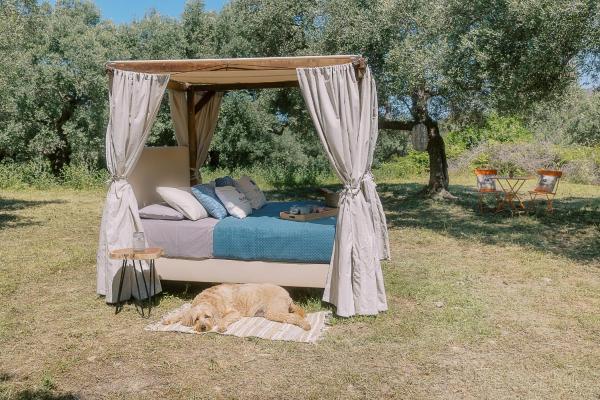Kaloniktis Rethymno Olive Farm Escape - Kreta